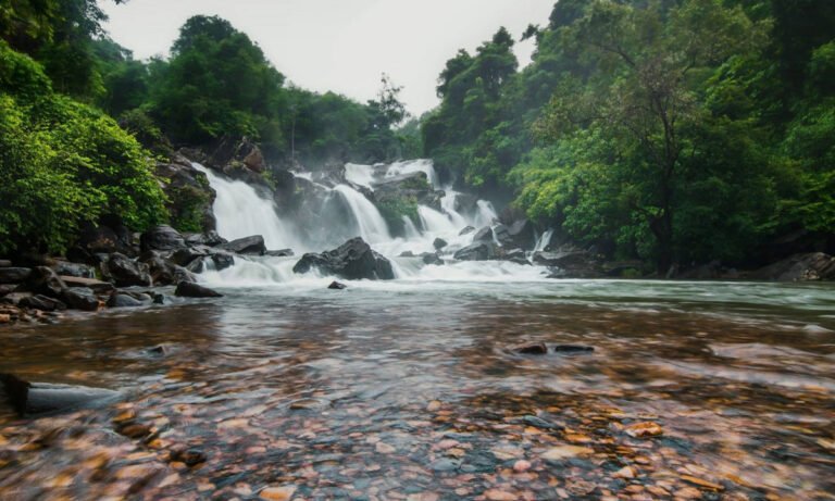 Bogatha Waterfalls | A Stunning Natural Wonder in Telangana